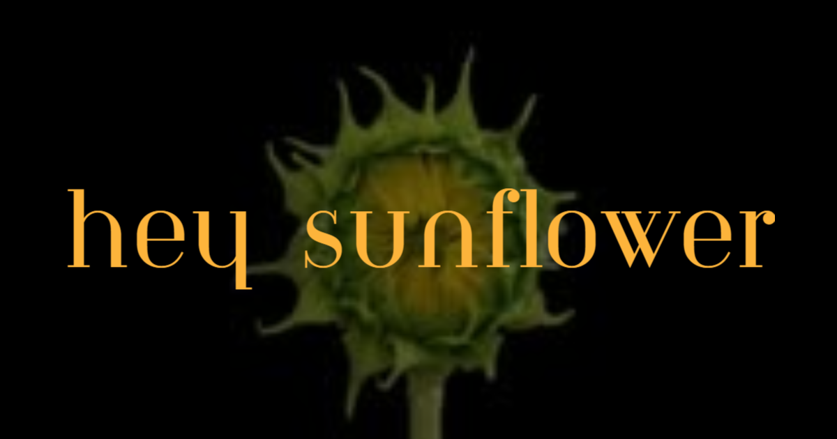 hey sunflower